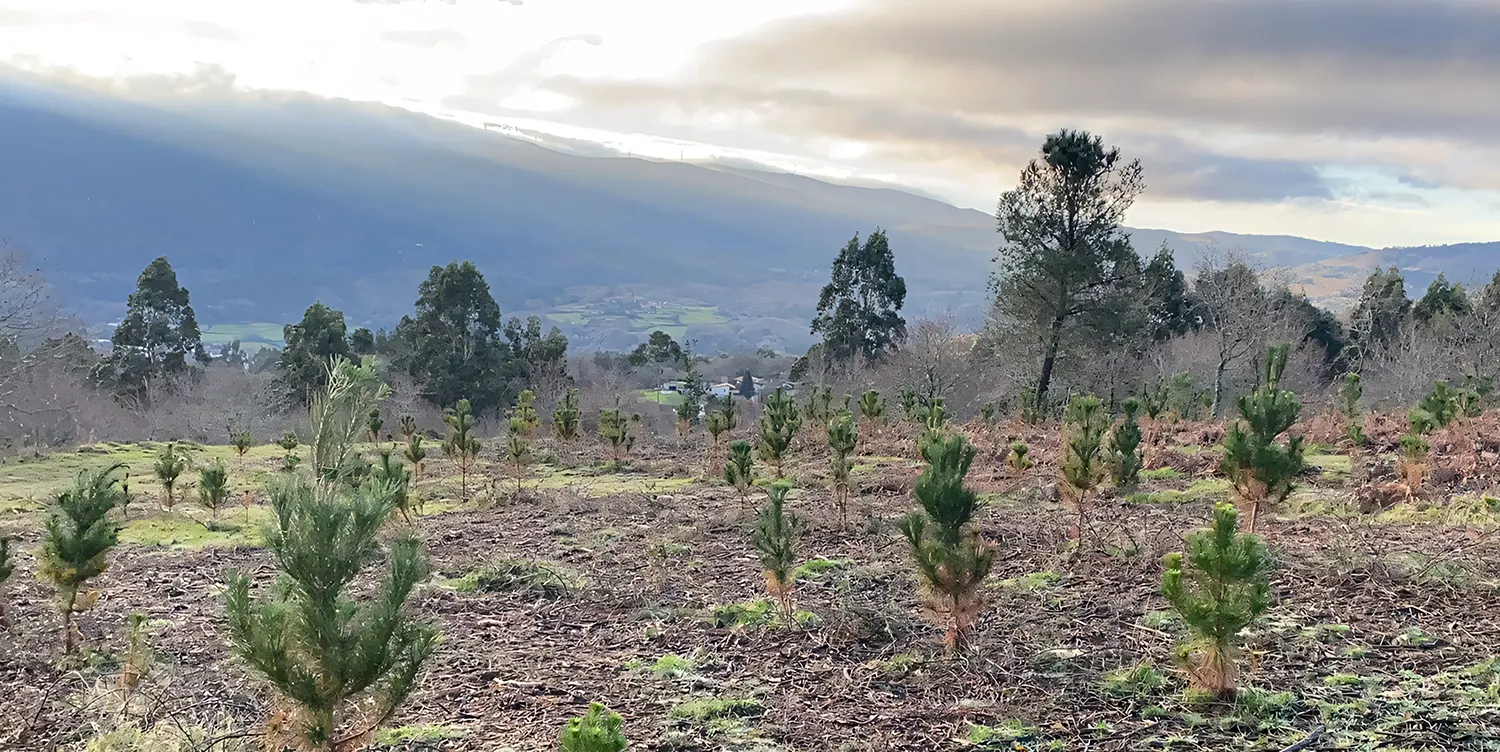 Vilar - CO2 Revolution